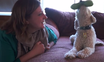 Video: March BarkBox Review - Napa's Daily Growl