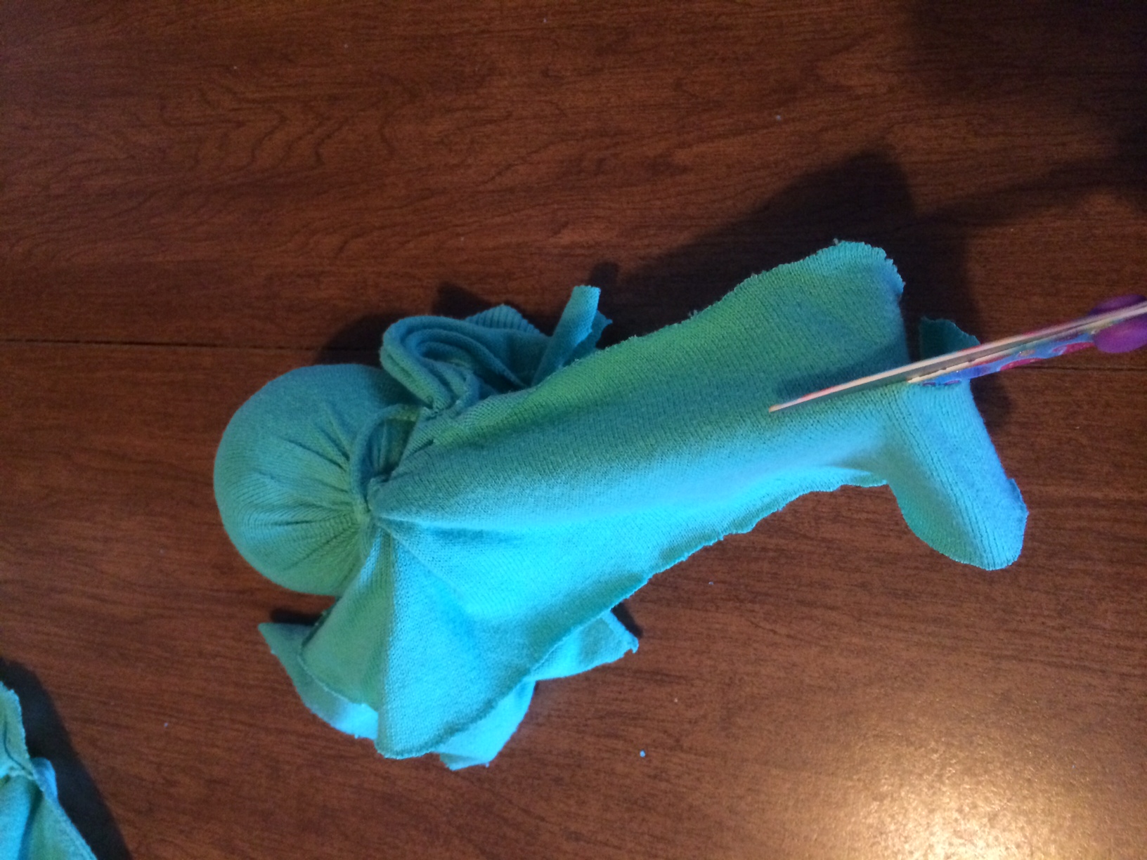 photo 2 - Napa's Daily Growl