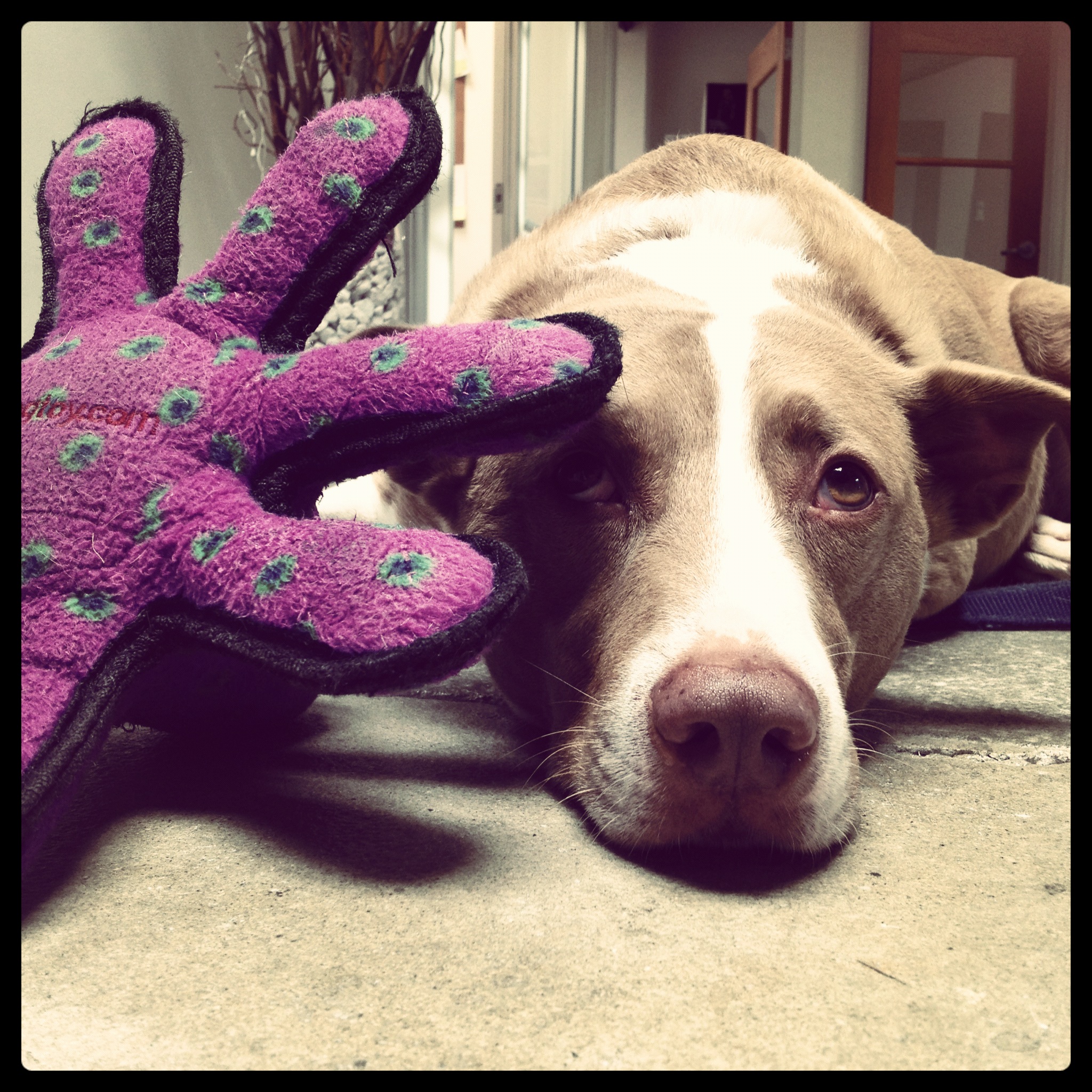 The Exclusive Q & A with Bernard from Stanton and Company - Napa's ...